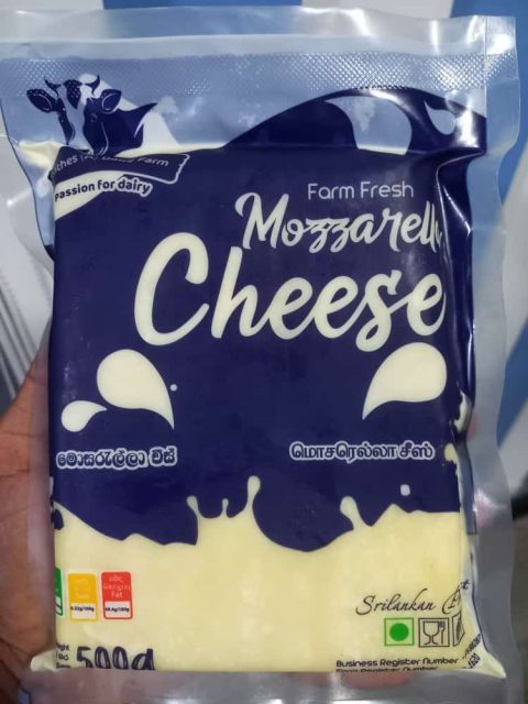 Mozzarella Cheese Manufacturing in Sri Lanka.
